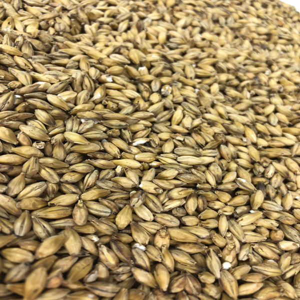 Malte Pilsen Agrária - 1Kg